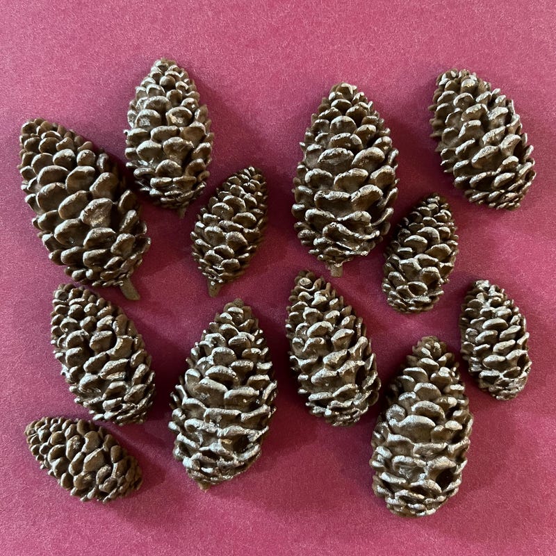 Pine Cone Mold for Food - Etsy UK