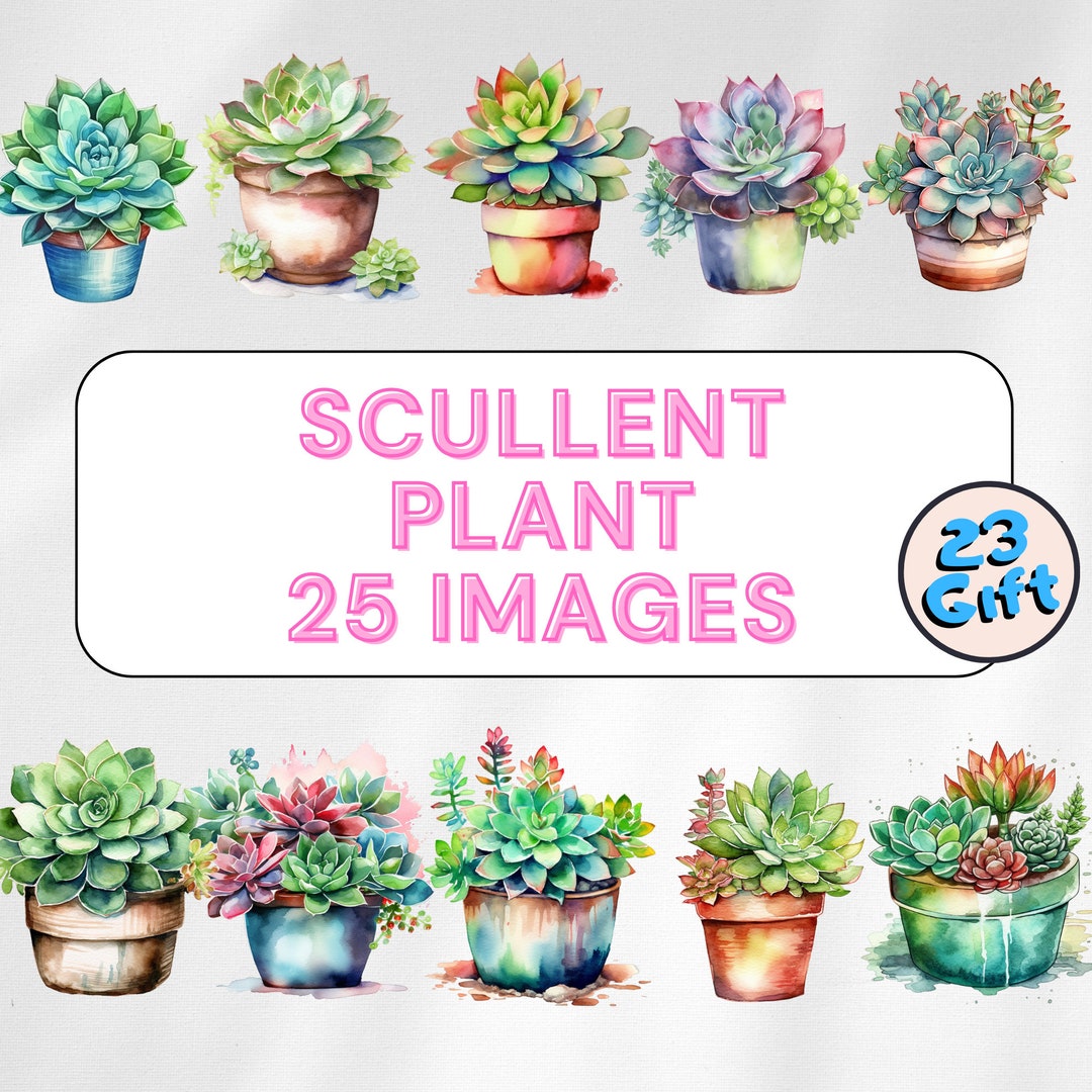 Watercolor House Plants Clipart Watercolor Houseplants in Pot - Etsy