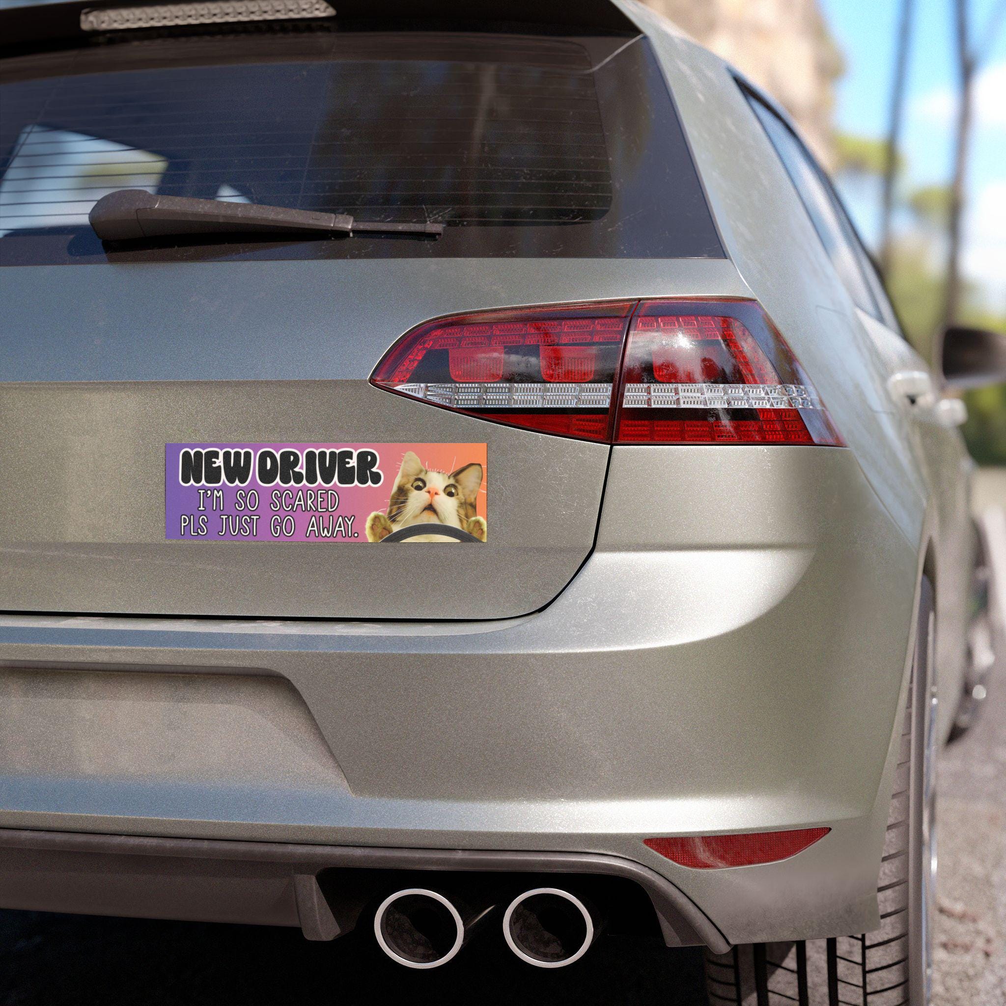 New Driver Magnet Funny Student Driver Magnet Cat Bumper Sticker Funny ...