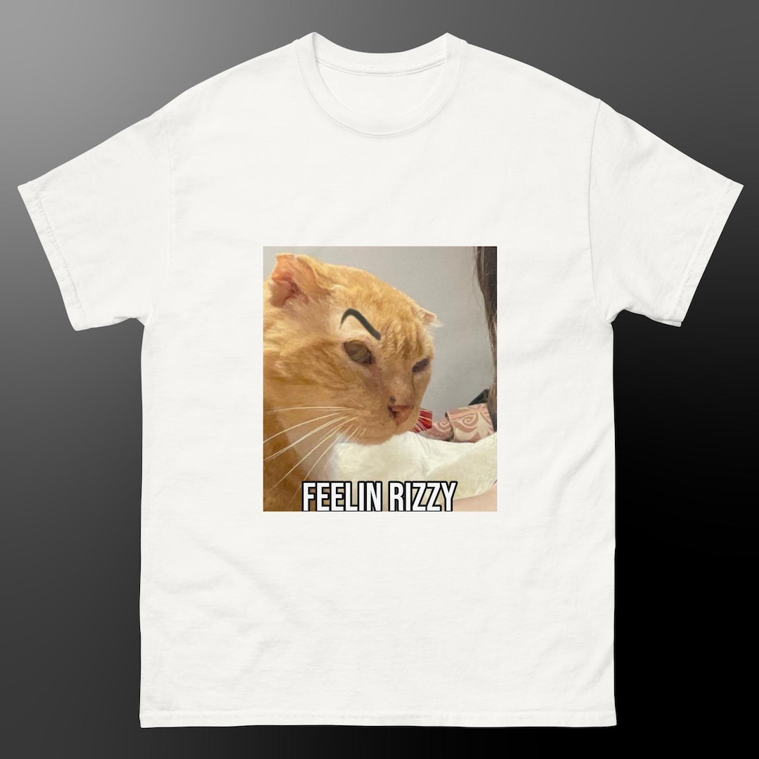 Feelin Rizzy Meme T-shirt - Etsy