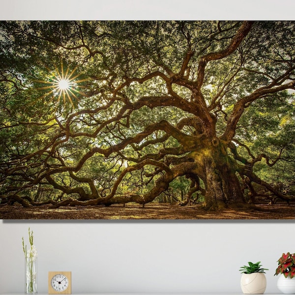 Oak Tree Art - Etsy