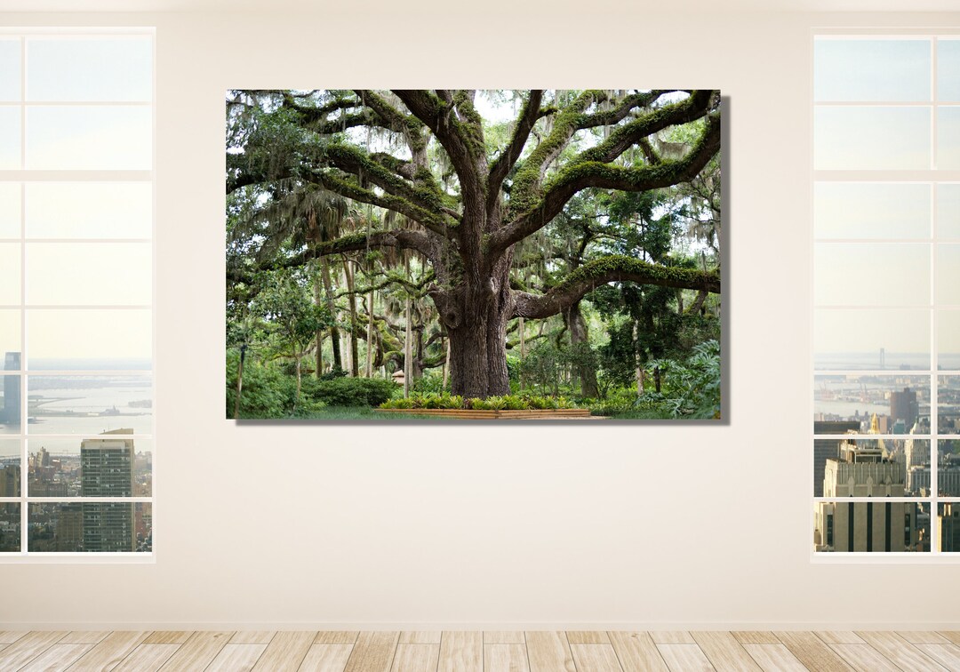 Old Tree of Life Modern Canvas Wall Art Poster Print Art - Large Old ...