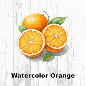 Downloadable Clipart Watercolor Orange Fruit Clip Art SVG - Etsy