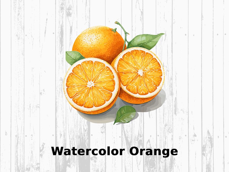 Downloadable Clipart Watercolor Orange Fruit Clip Art SVG - Etsy