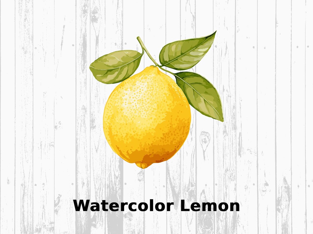 Downloadable Clipart, Watercolor Lemon Fruit Clip Art, SVG, PNG, JPEG ...