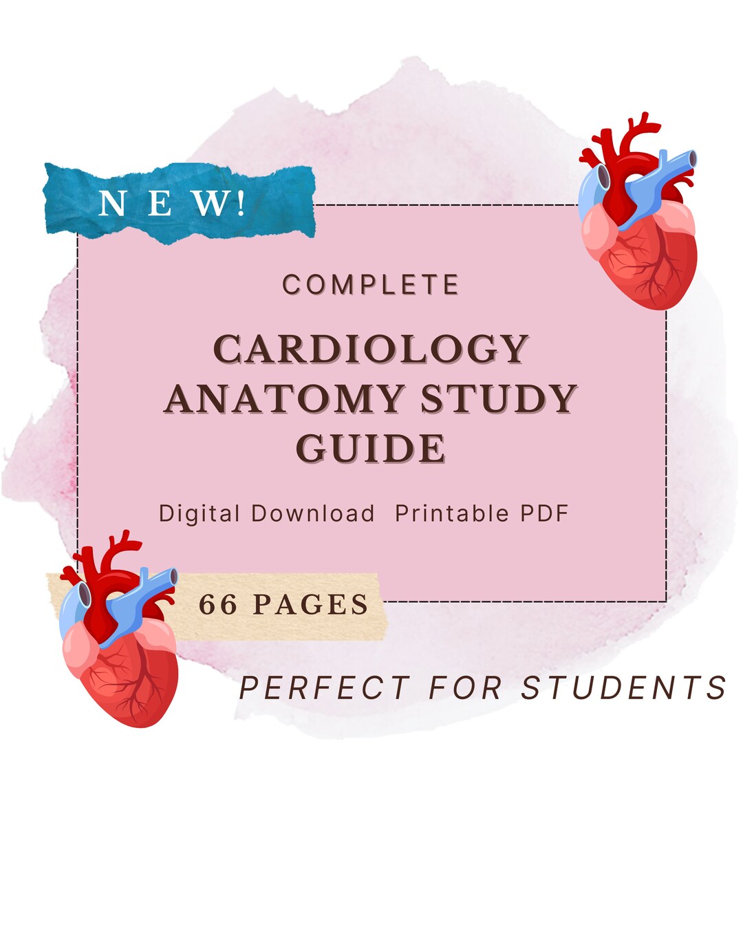 Cardiology Complete Anatomy Studyguide for Students. Includes Netter's ...