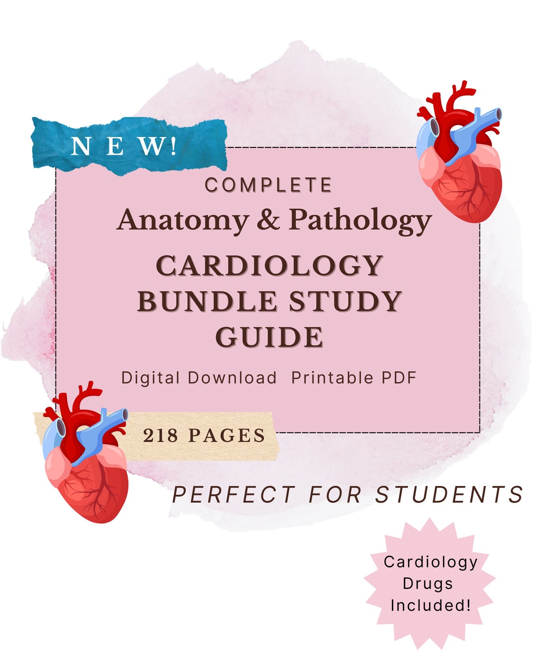 Cardiology Complete Bundle Studyguide for Students. Includes Netter's ...