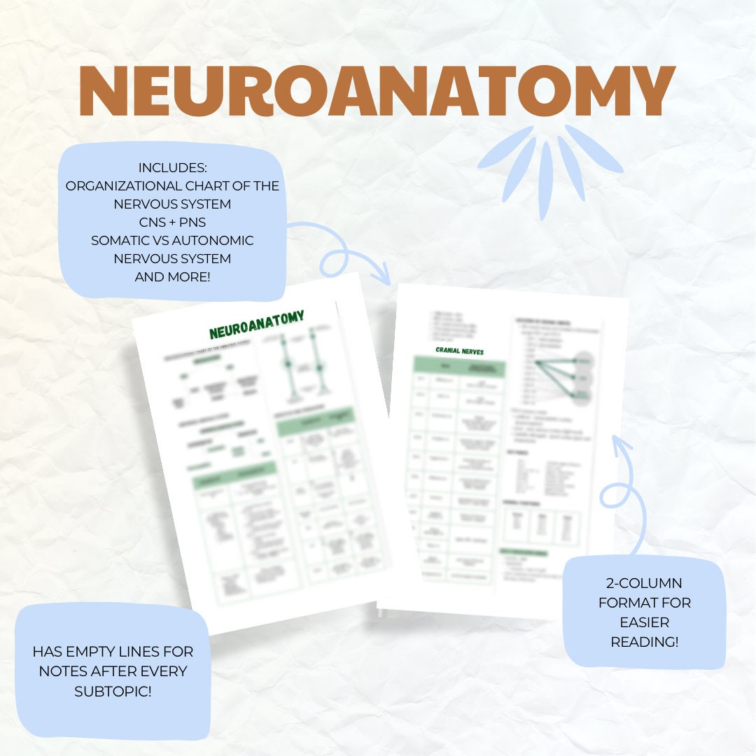 Neuro Cheat Sheet Study Notes Guide Neuroanatomy Neurology Stroke CVA ...