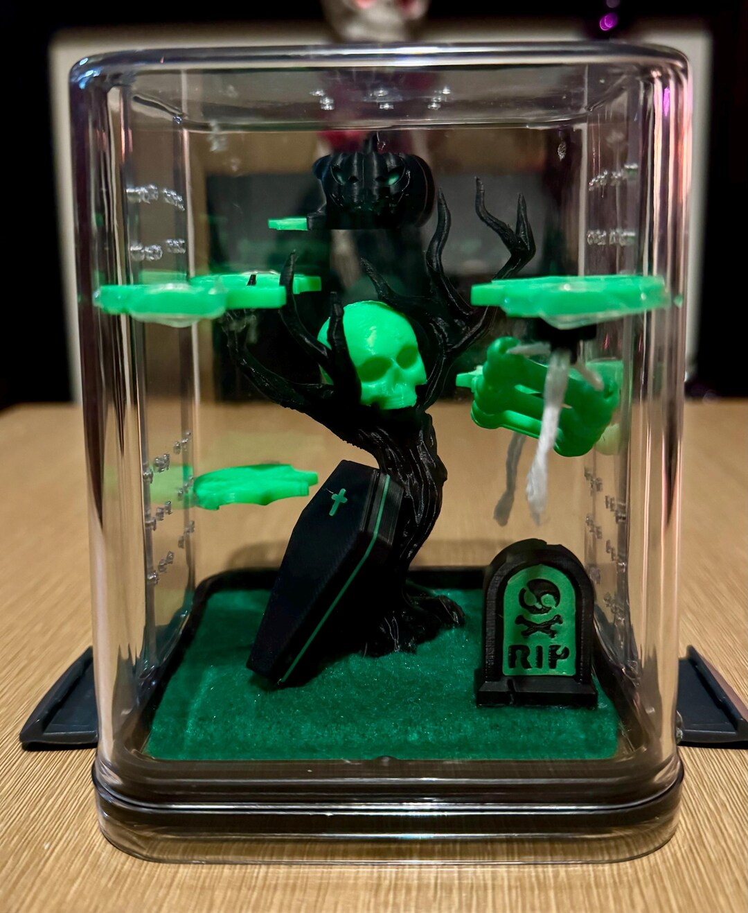 Jumping Spider Enclosure - Etsy