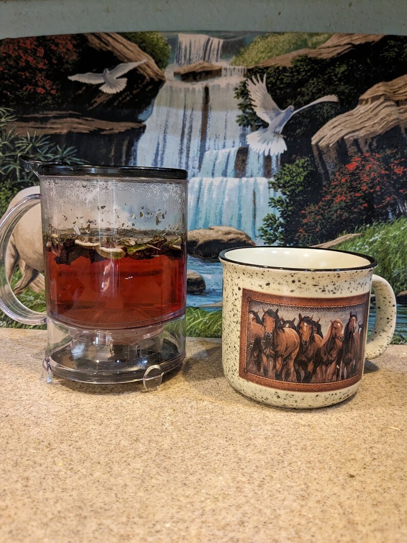 Florida Sunshine Herbal Tea Blend - Etsy