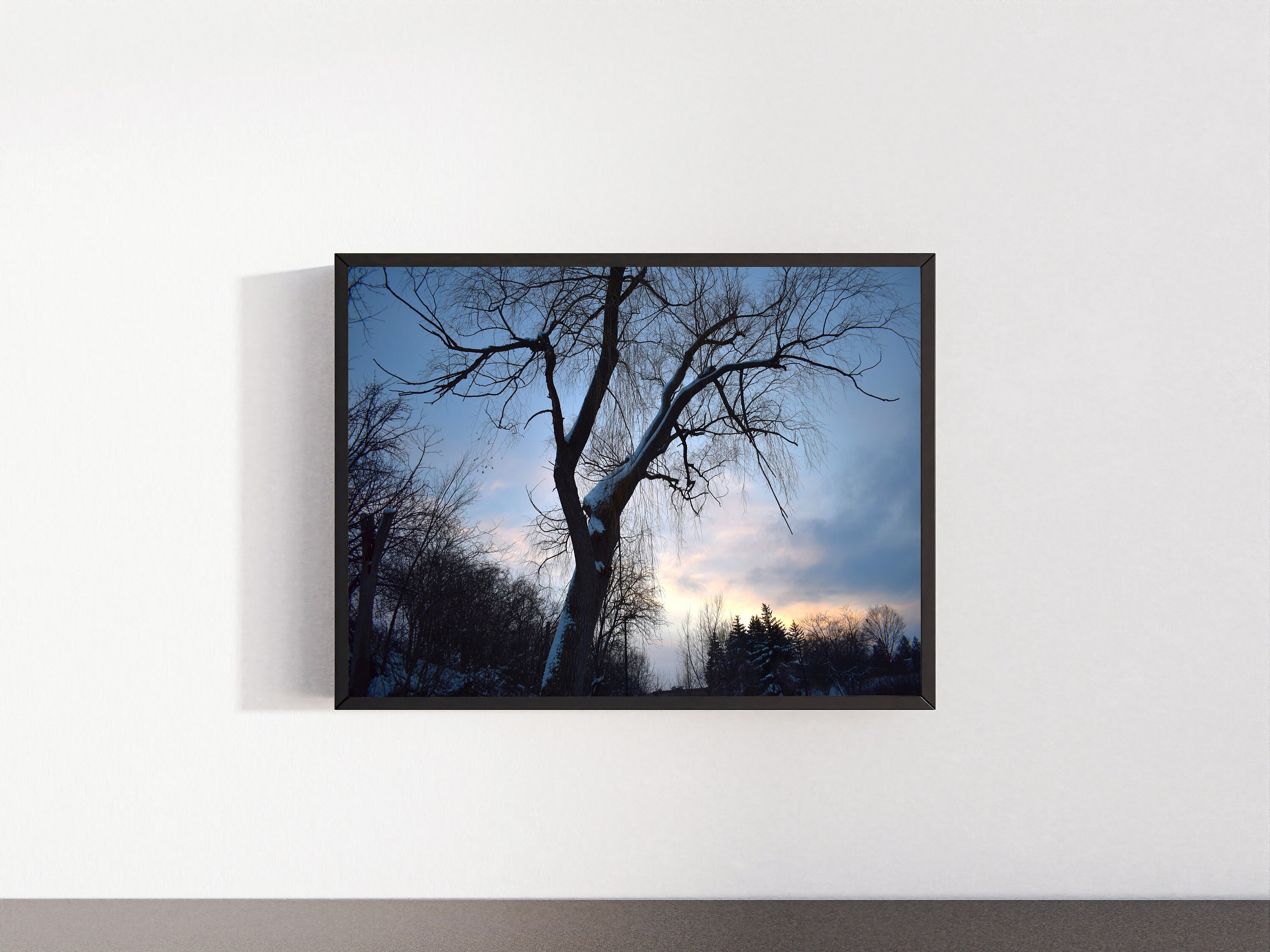 Tree Landscape Print Winter Tree Photography - Etsy