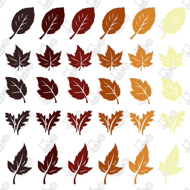 Autumn Leaves SVG, Maple Tree Leaves SVG, Oak Tree Leaves SVG, Autumn ...
