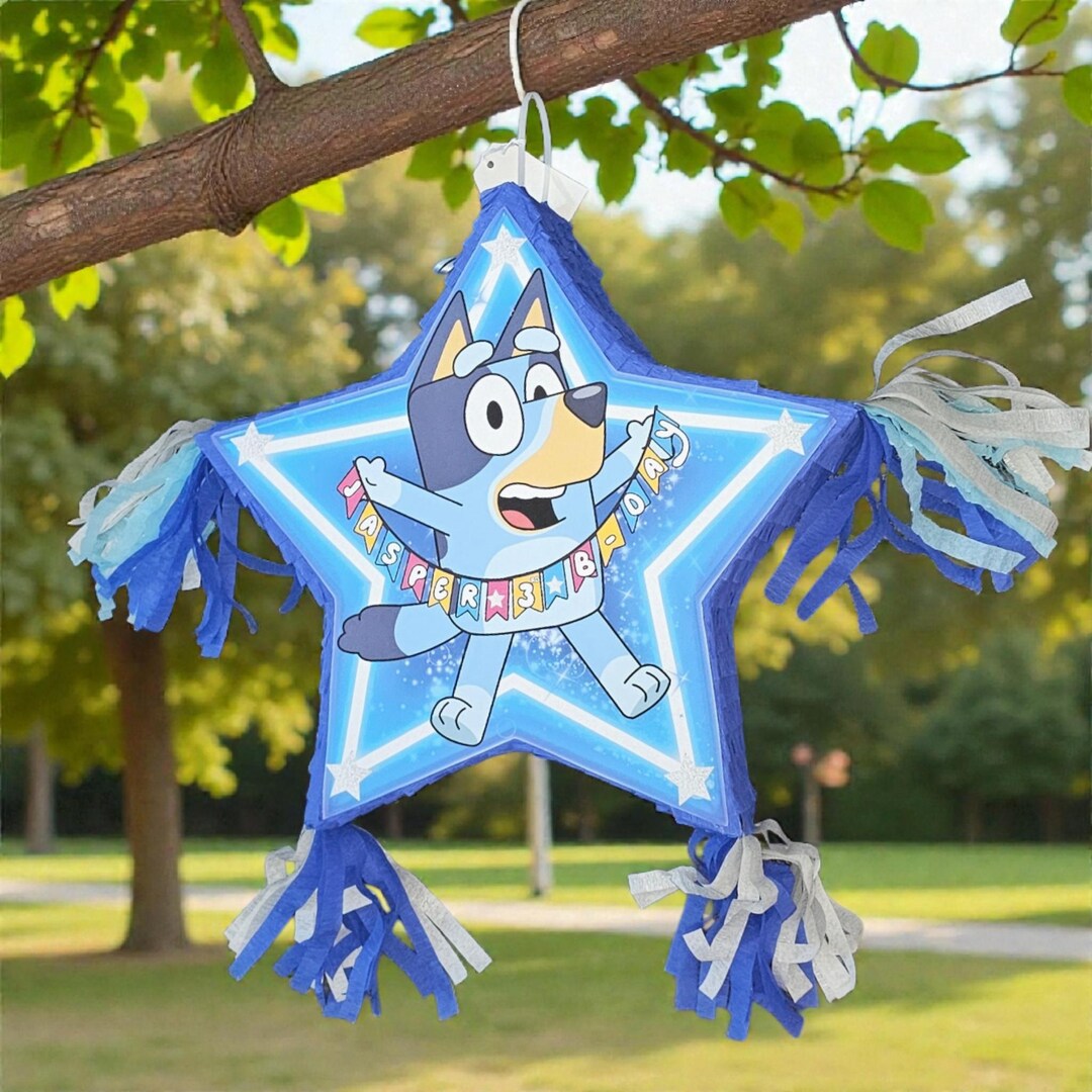 Bluey Star Pinata, Birthday Party Decoration - Etsy