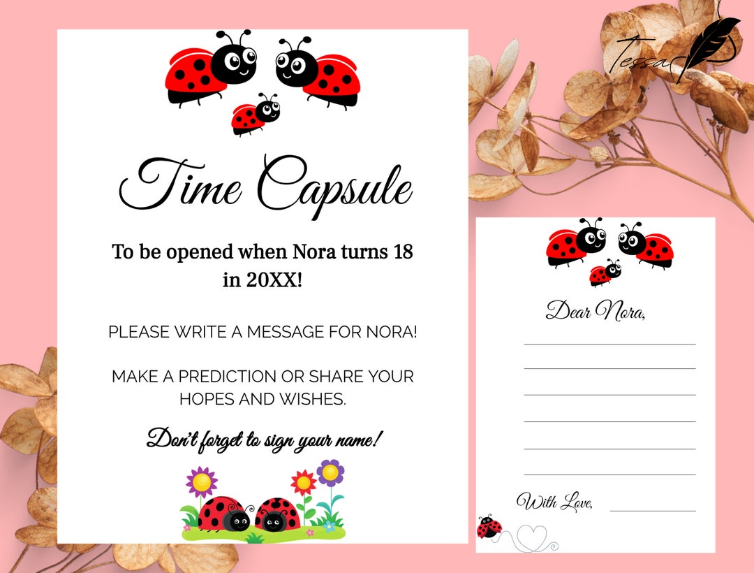 Editable Ladybug Time Capsule First Birthday Party Ladybug - Etsy