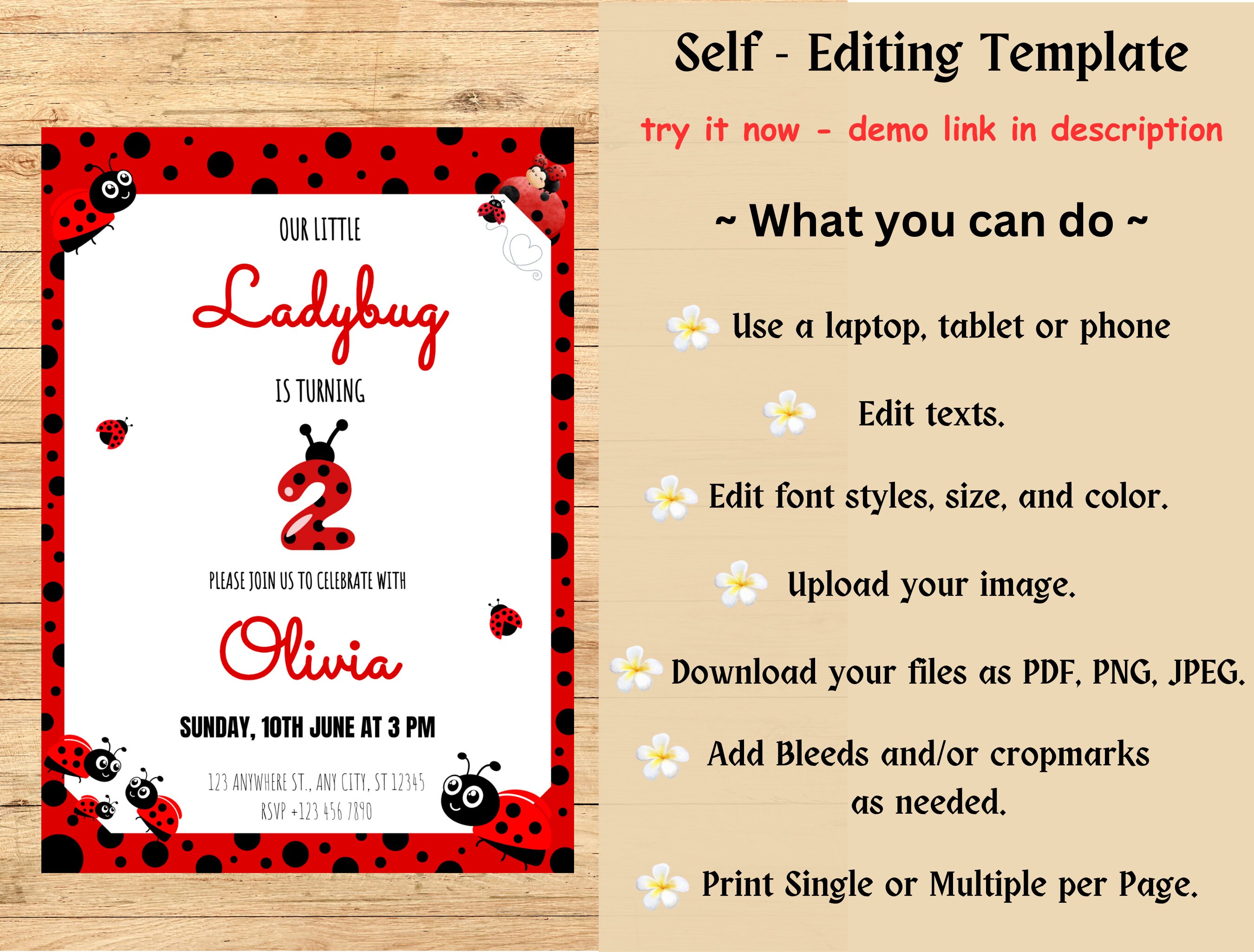 Editable 2nd Ladybug Birthday Invitation, Ladybug Invitation, Second ...