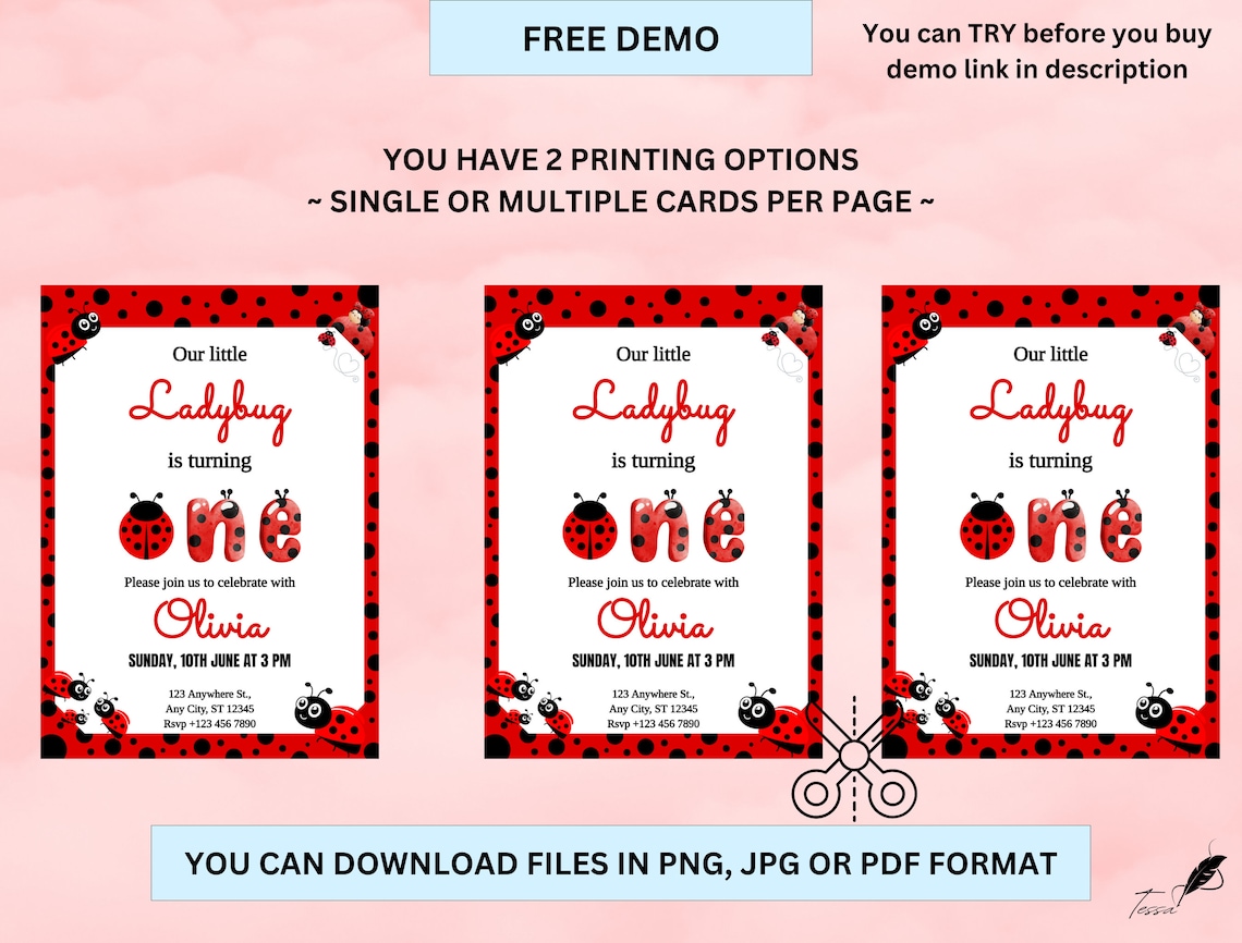 Editable Ladybug 1st Birthday Invitation, Ladybug Invitation, Birthday ...