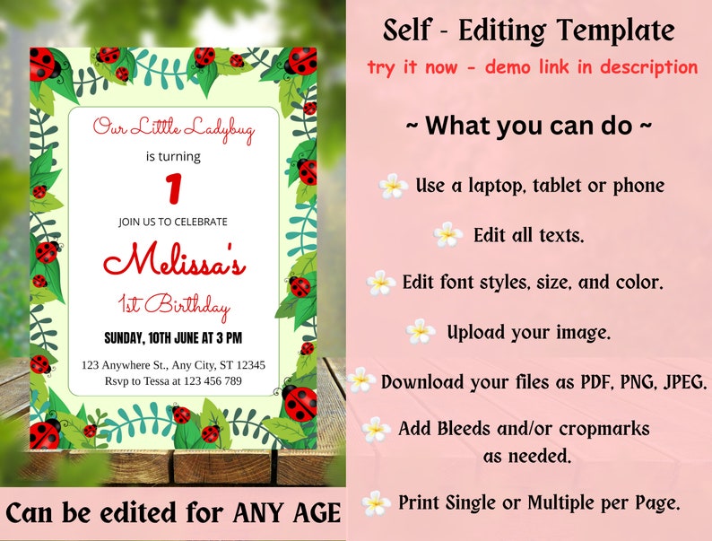 Editable Ladybug Birthday Invitation, Ladybug 1st Birthday Invitation ...