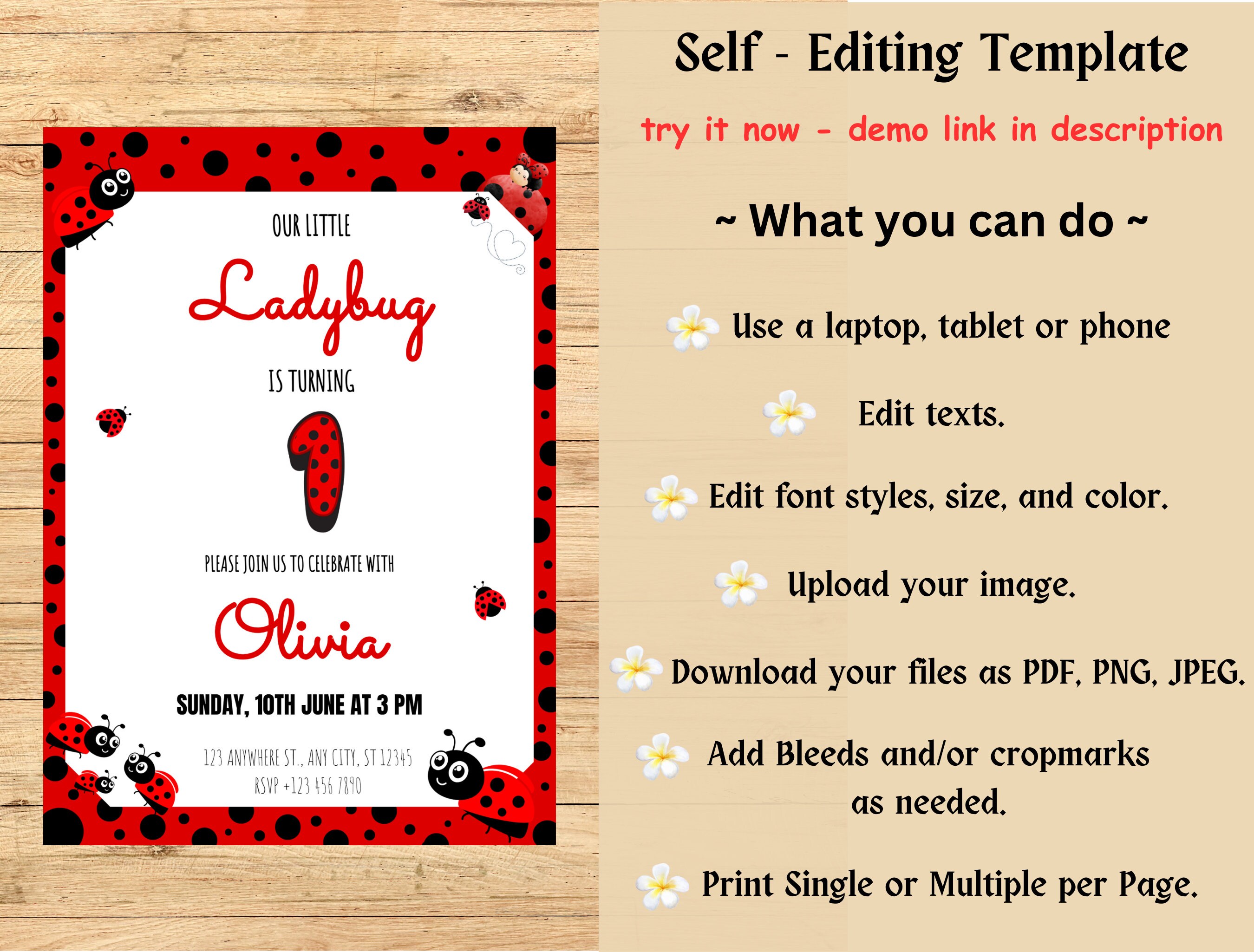 Editable 1st Ladybug Birthday Invitation, Ladybug Invitation, First ...