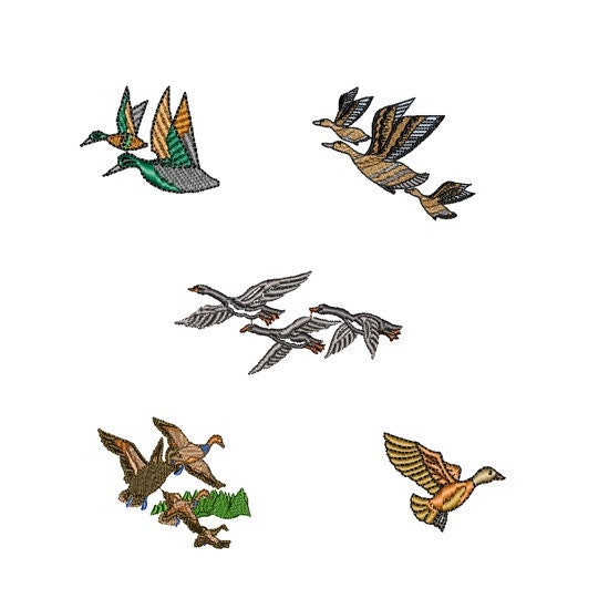 Colorful Duck & Goose Embroidery Designs Bundle DIY Craft - Etsy