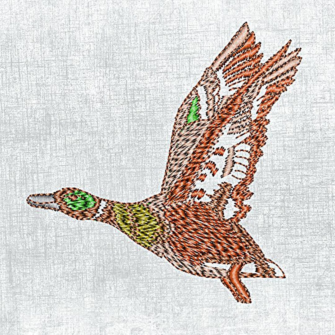Pheasant Bird Embroidery Design 4x4 Hoop File - Etsy