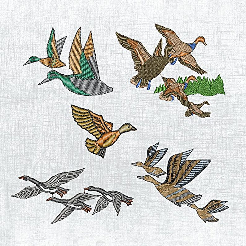 Colorful Duck & Goose Embroidery Designs Bundle - DIY Craft - Etsy