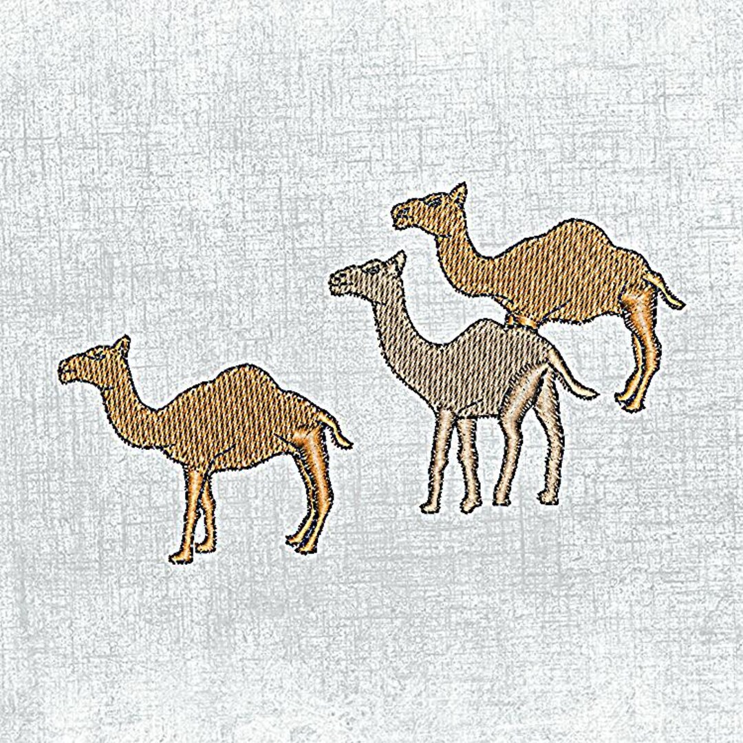 Fascinating Camel Embroidery Pattern - Instant Download, Small Size 9 ...