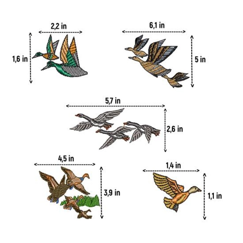 Colorful Duck & Goose Embroidery Designs Bundle - DIY Craft - Etsy