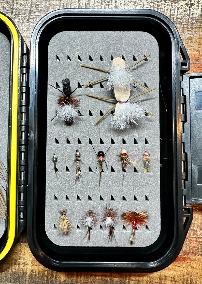 Assorted Trout Flies With Fly Box! - Etsy