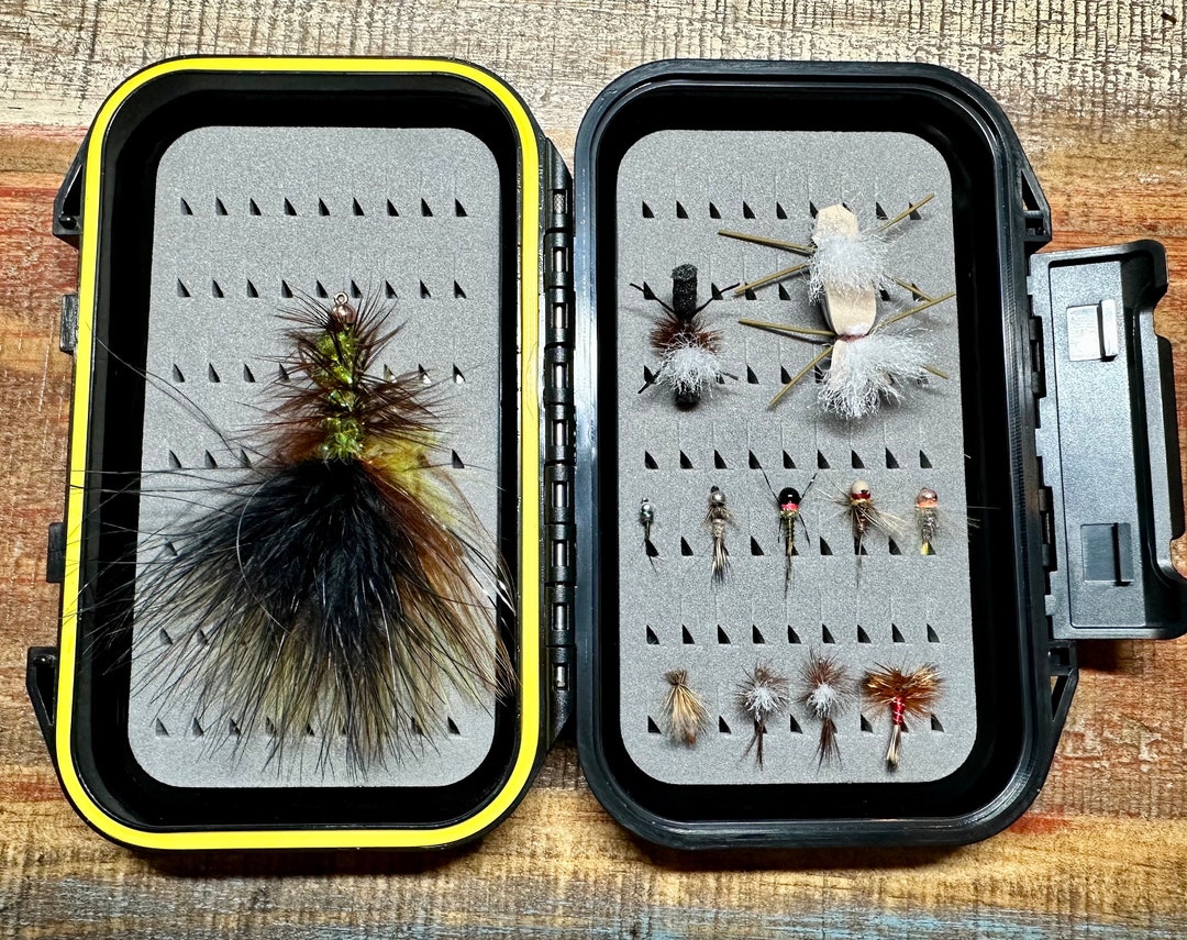 Assorted Trout Flies With Fly Box! - Etsy