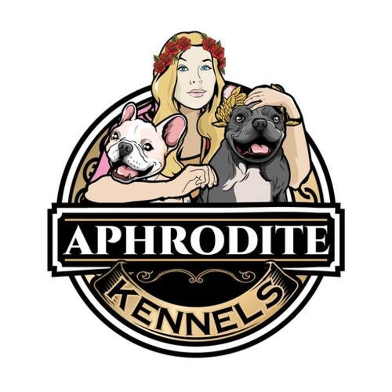 Custom Hand Drawn Logo, Pet Logo Design, Logo Design Custom for ...
