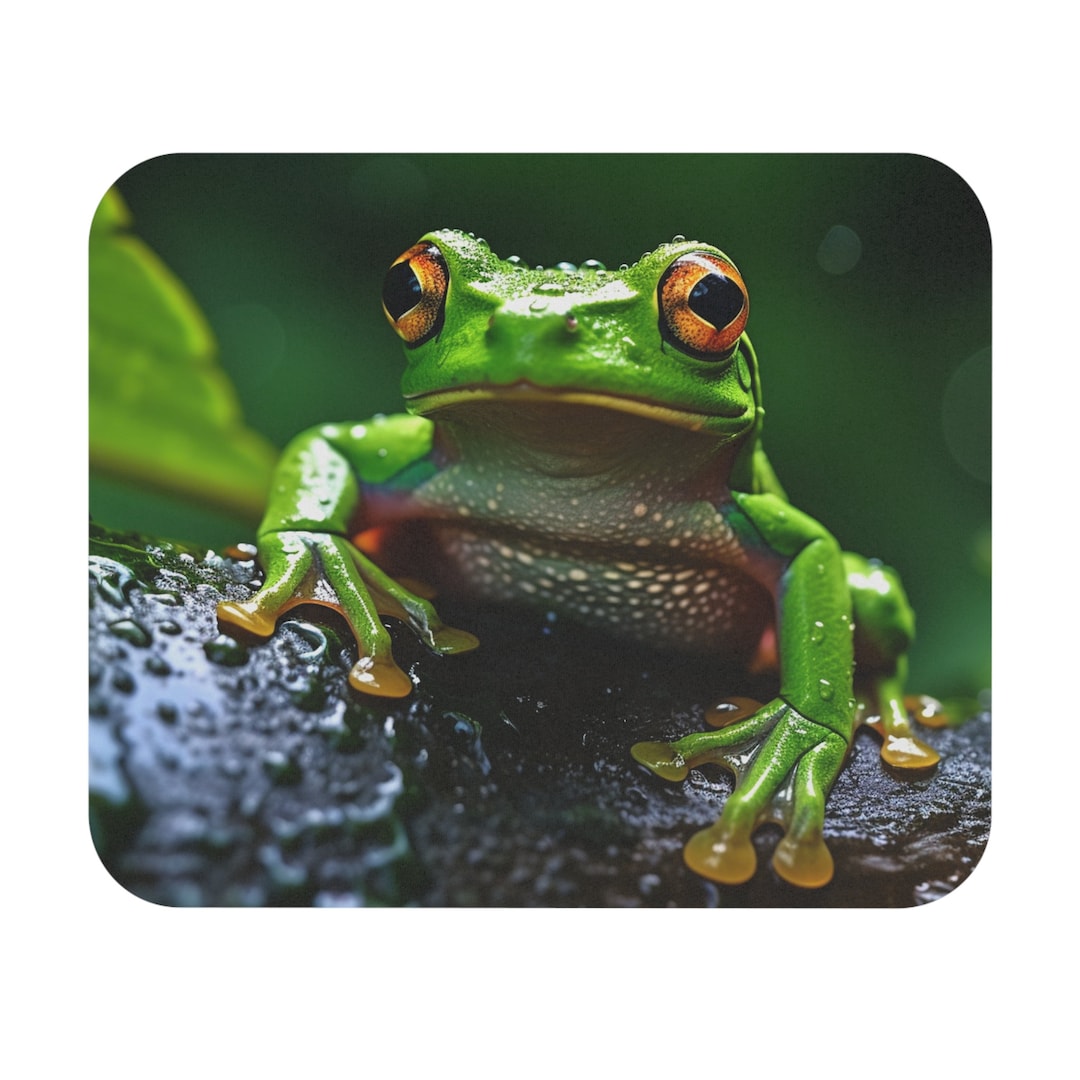Green Rainforest Frog Mouse Pad (rectangle) - Etsy