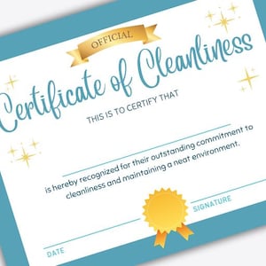 Clean Room Award, Cleanliness Certificate, Tidy Room Award, Kids ...