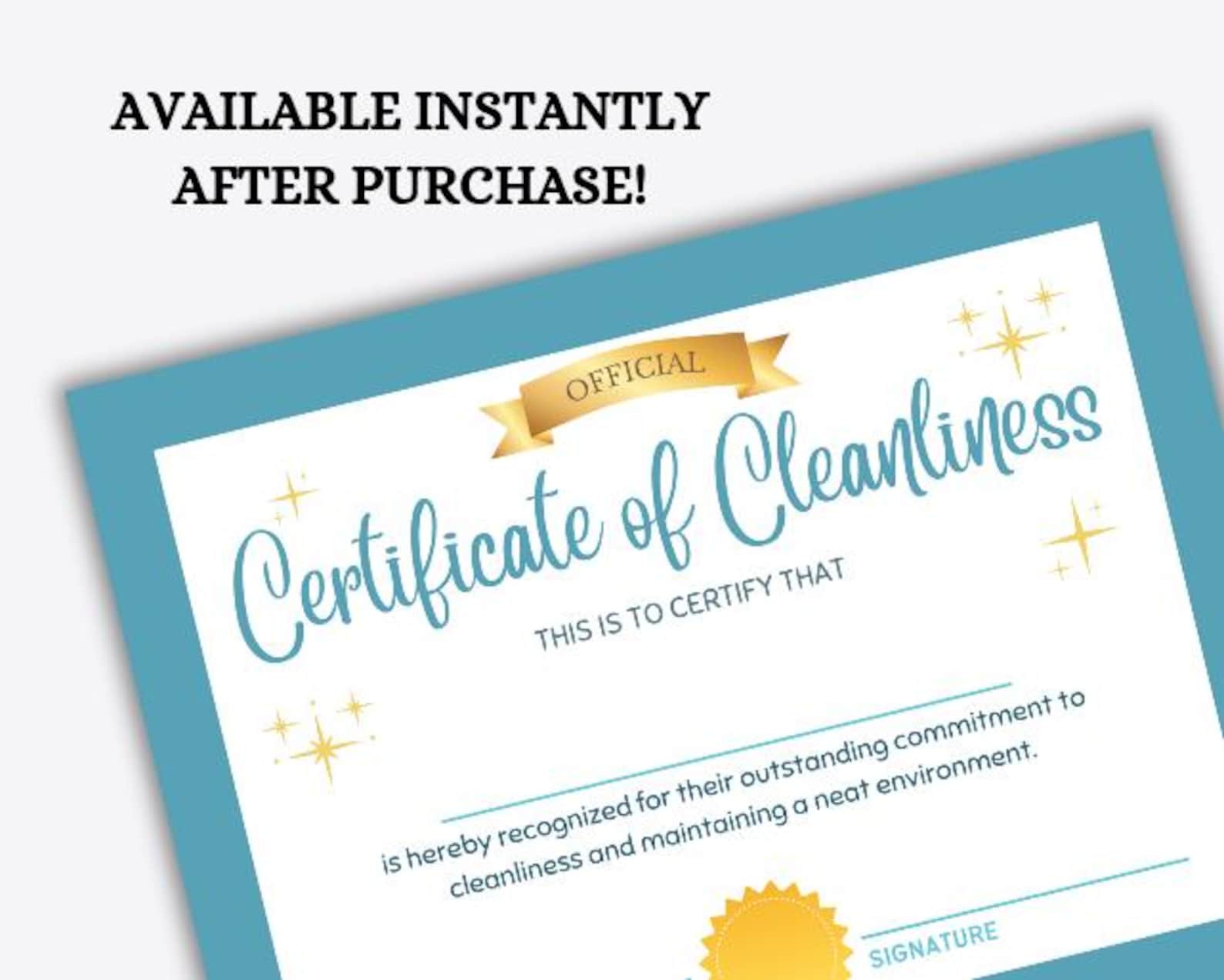 Clean Room Award, Cleanliness Certificate, Tidy Room Award, Kids ...