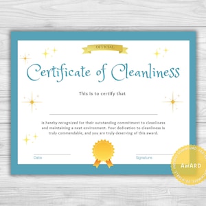 Clean Room Award, Cleanliness Certificate, Tidy Room Award, Kids ...