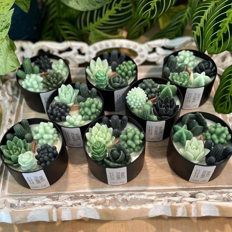 Green Candle Succulent - Etsy