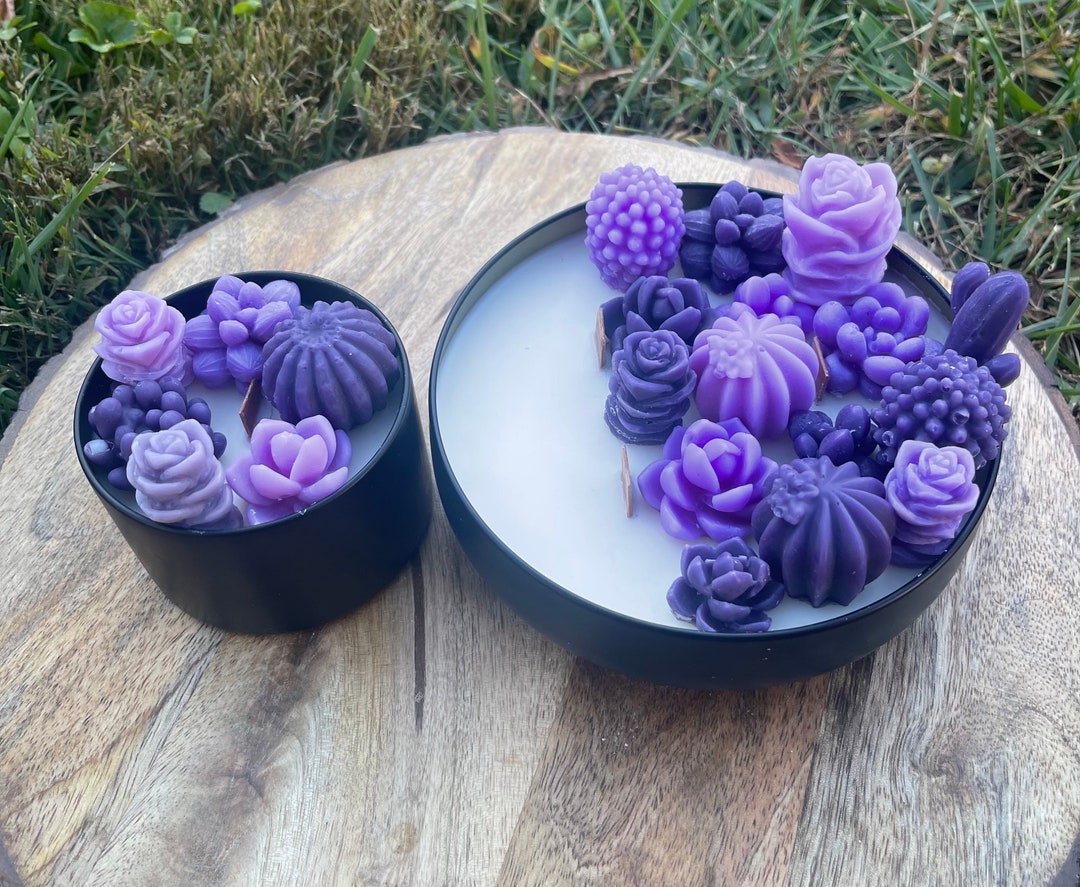 Purple Variety Succulent Candle Custom Scented Candle Hand-poured With ...