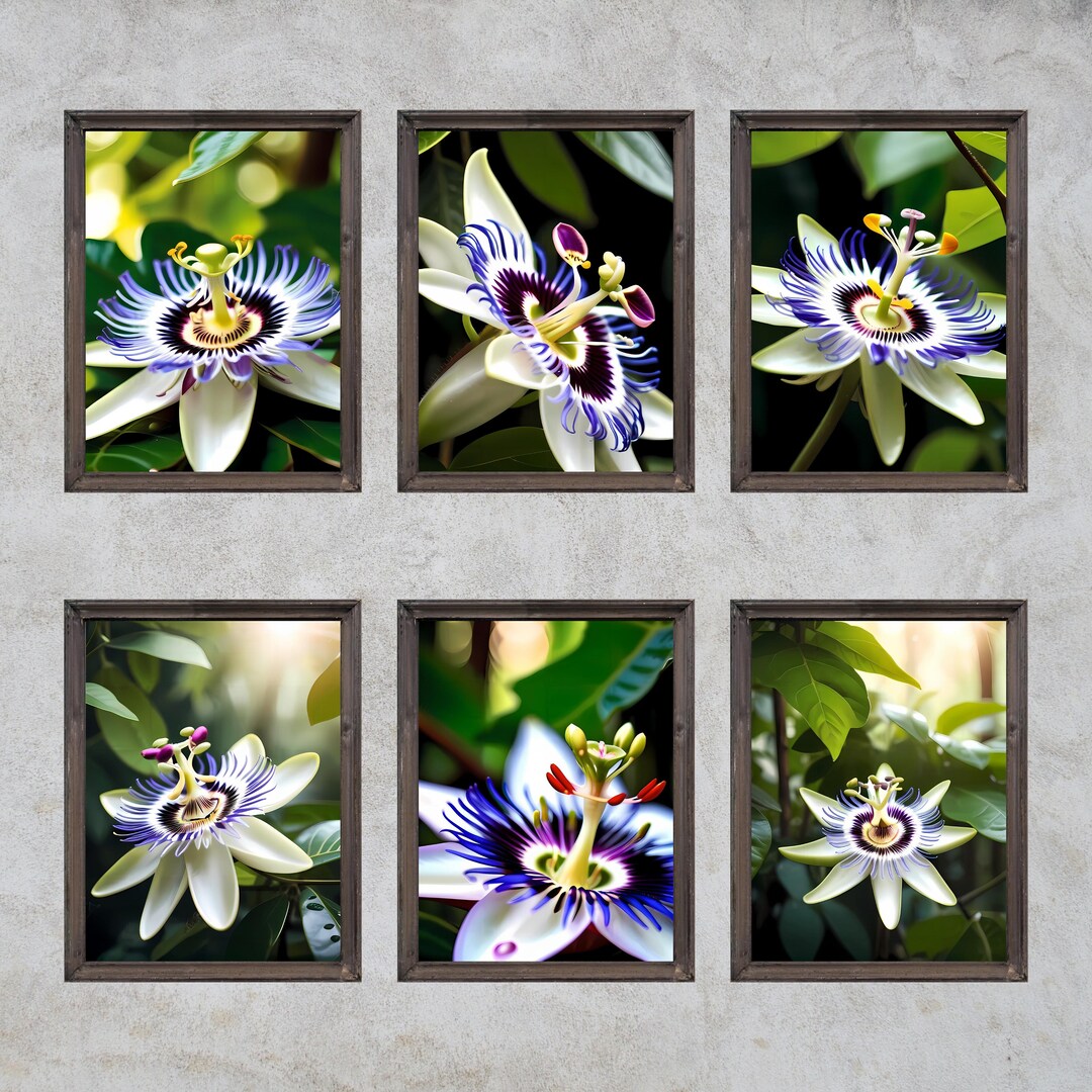 Set of 6 Passiflora Flowers Printable Wall Art, Exotic and Tropical ...