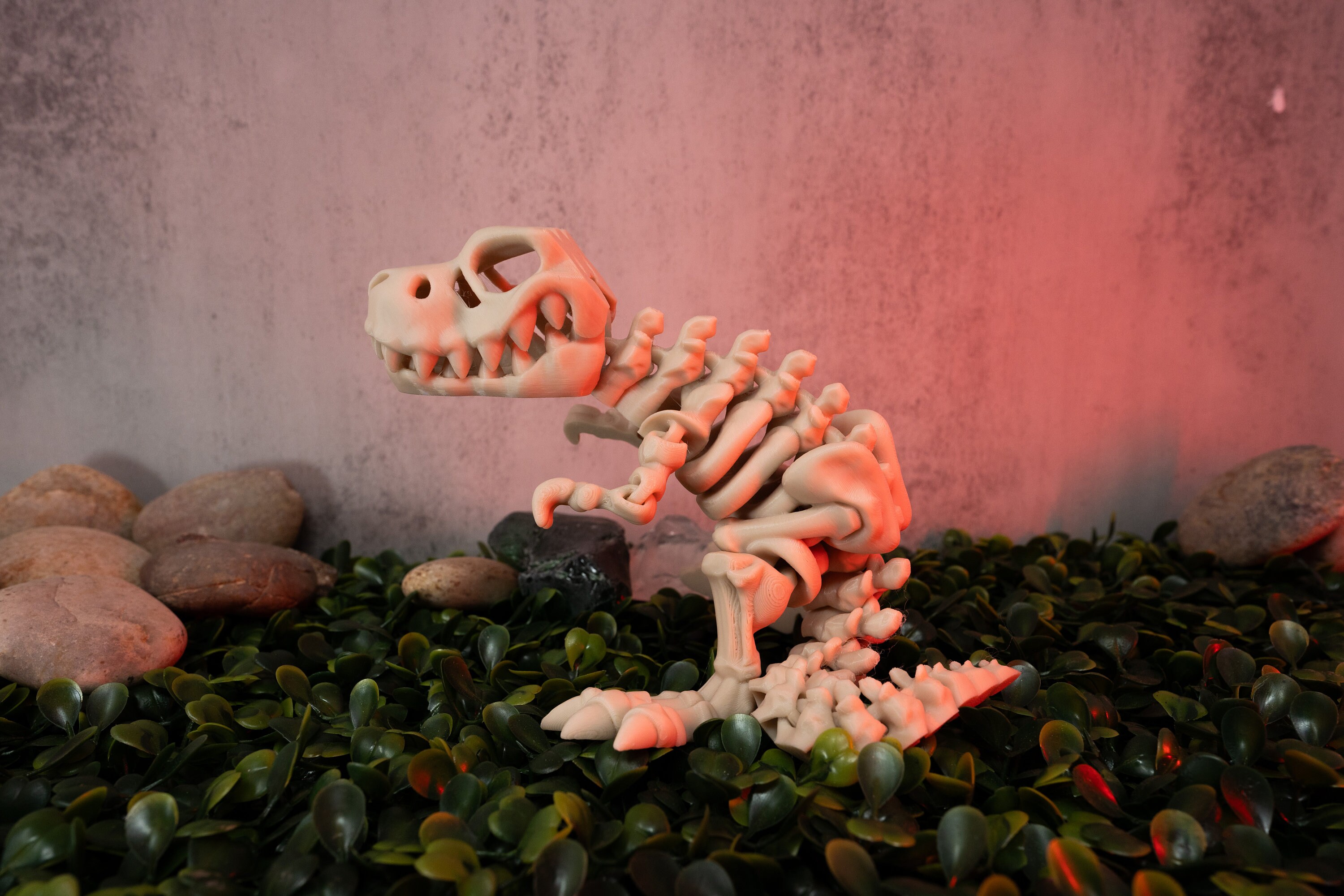 Flexi T-rex Skeleton Toy Articulating 3D Printed Dinosaur Mode - Etsy