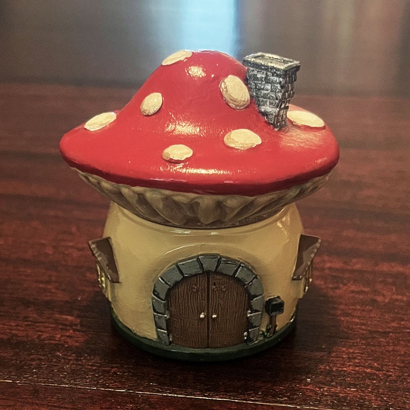 Mushroom Container - Etsy