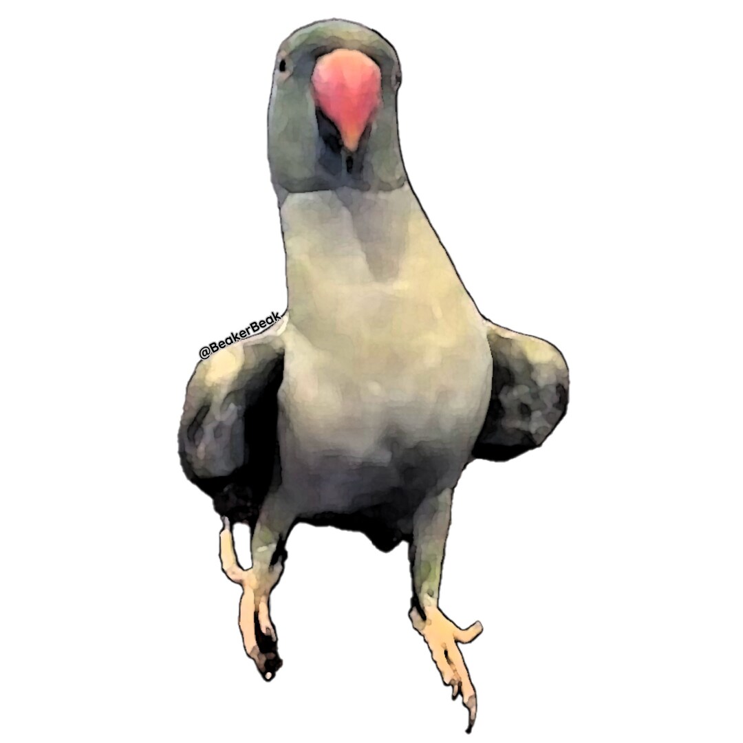 Beaker the Bird Sticker - Etsy