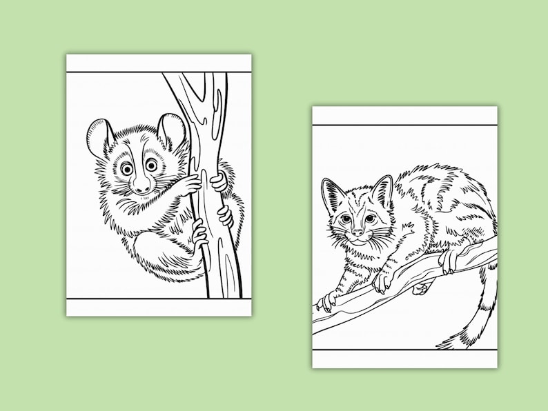 100 Cute Safari Animals Coloring Pages Bundle, Printable Kids Coloring ...