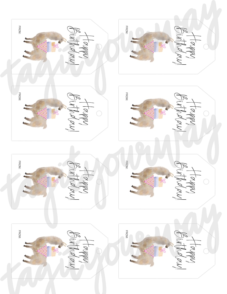 Printable Birthday Gift Tags With Cute Llama Drawing - Etsy