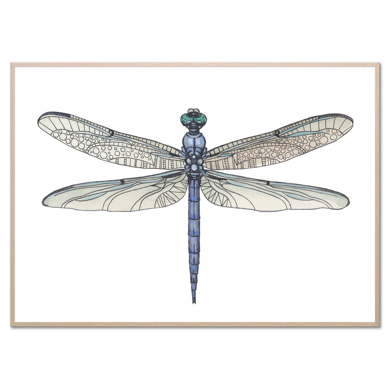 Dragonfly Art Print - Etsy