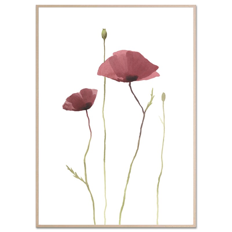 Poppy Art Print - Etsy
