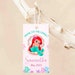 Editable the Little Mermaid Birthday Invitation, Canva Template, Mobile ...