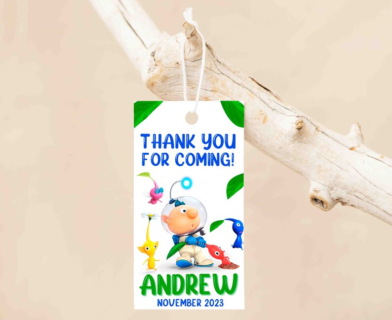 Pikmin Birthday Invitation, Pikmin Party Invite, Digital Invitation ...