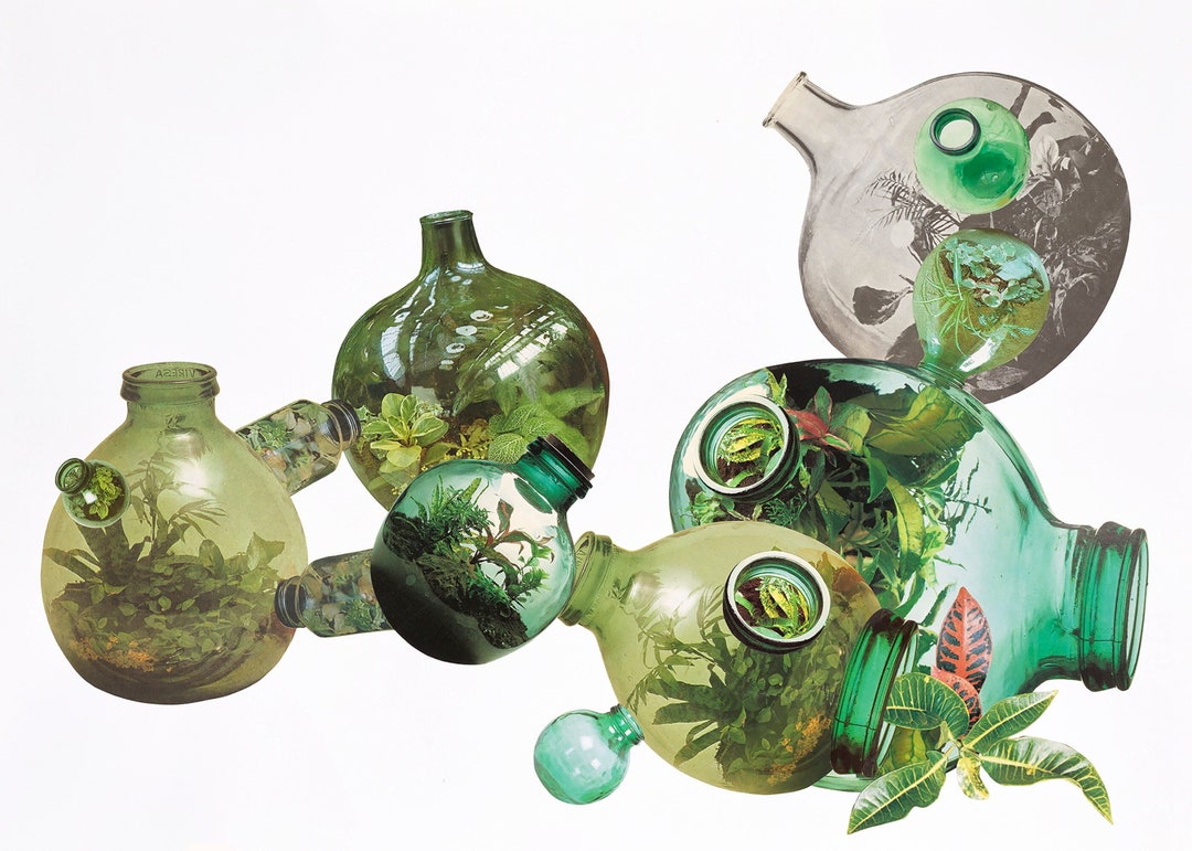 Limited Edition Art Print - Biosphere Bottle Garden Collage Art Print ...