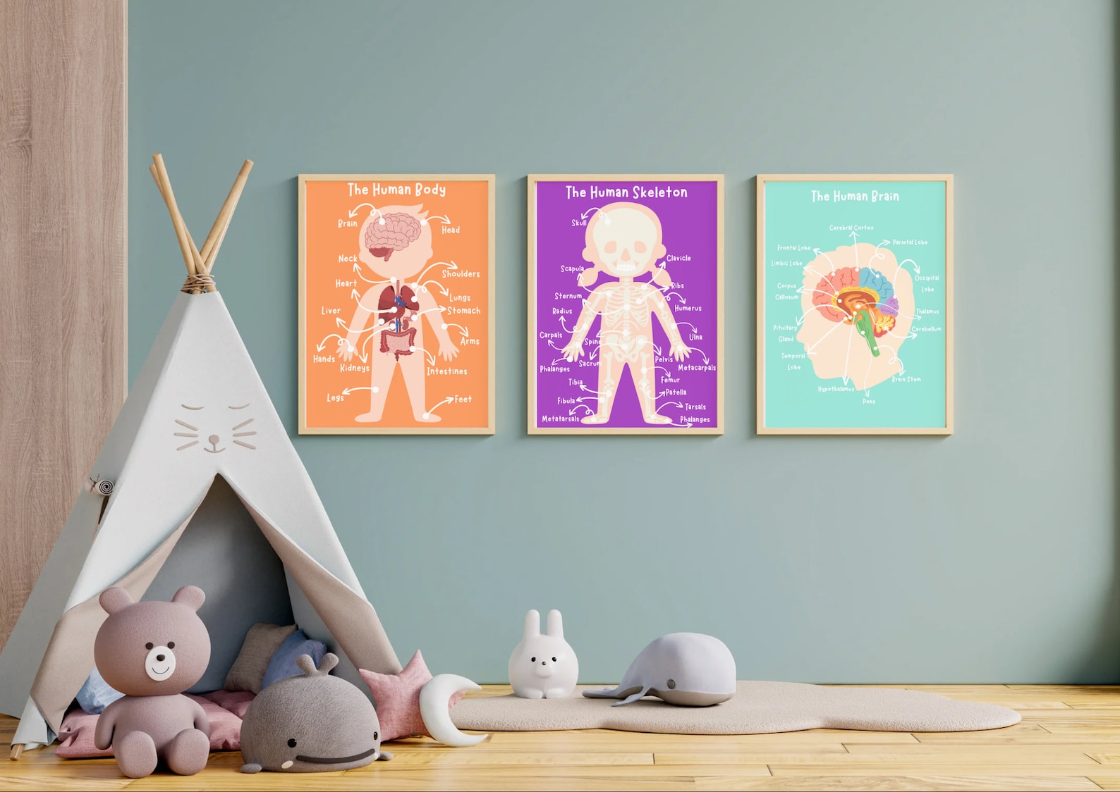 Simple Human Body Anatomy Poster for Kids | Nursery Kindergarten ...