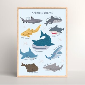 Digital Download Shark Poster for Kids | Childrens Shark Print ...
