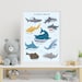 Digital Download Shark Poster for Kids Childrens Shark Print ...